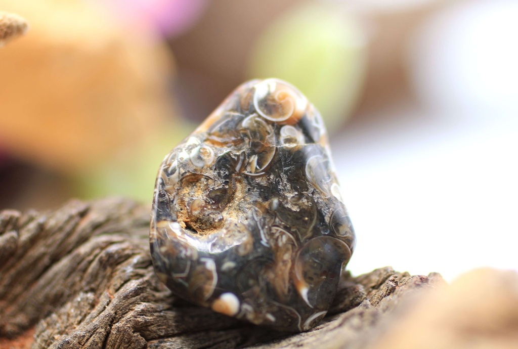 Agate turitelle roulée | L'Arbre du Bonheur